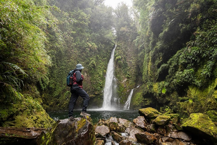 Pumalin Park & Caleta Gonzalo Lodge Hiking Adventure