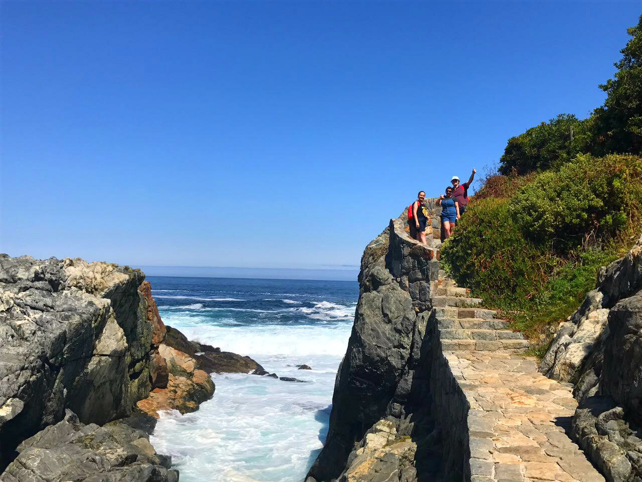 SCL005 - Full Day Pacific Trail & Wildlife